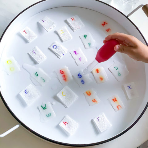 Alphabet Game for Preschoolers - Magic Letters! - 7 Days of Play