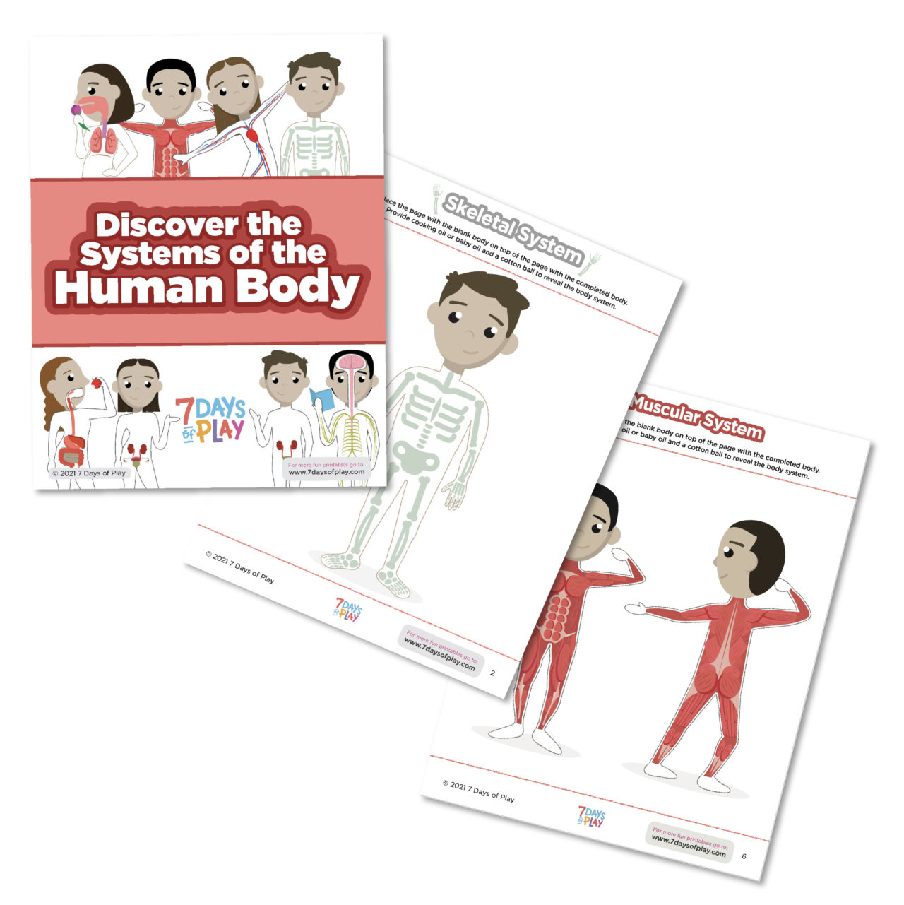 Systems of the Body for Kids to Discover - 7 Days of Play
