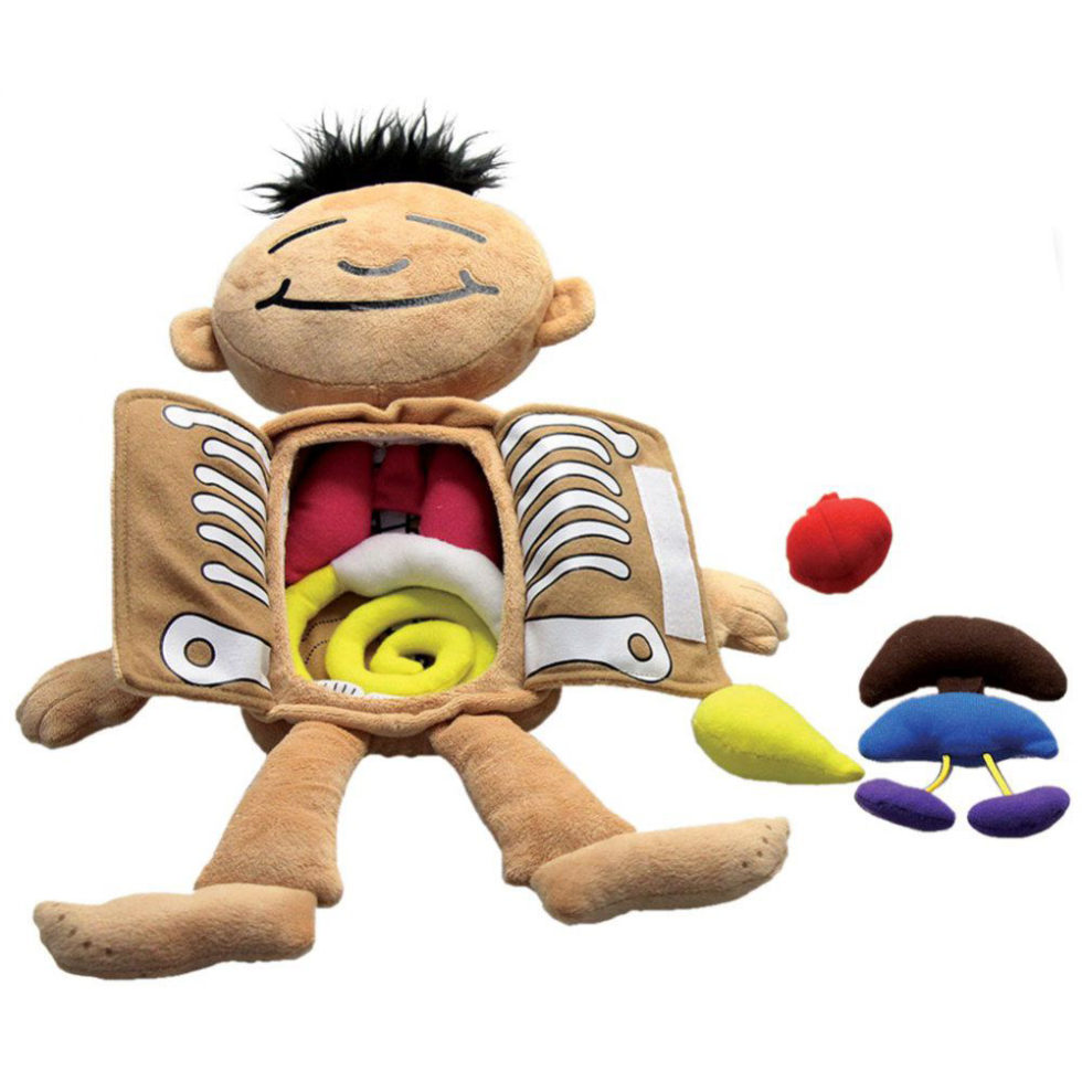 Systems of the Body for Kids - Try This Amazing Printable! - 7 Days of Play