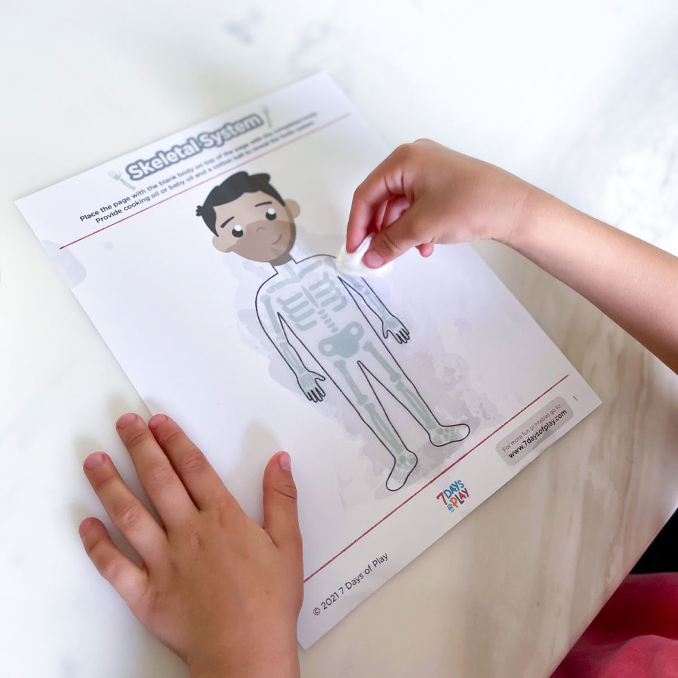 Systems Of The Body For Kids Try This Amazing Printable 7 Days Of Play systems-of-the-body-for-kids-try-this-amazing-printable-7-days-of-play
