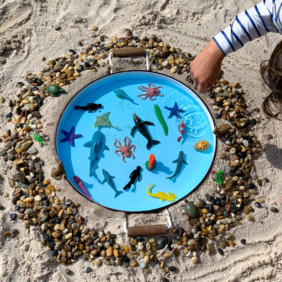 Ocean Sensory Bin - Simple Sea Creature Set Up! - 7 Days of Play