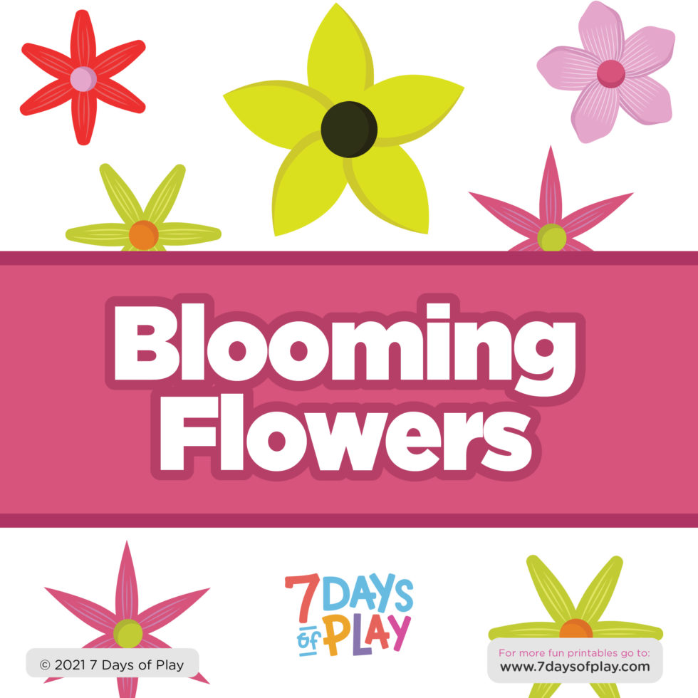 Blooming Paper Flower Experiment - 7 Days of Play