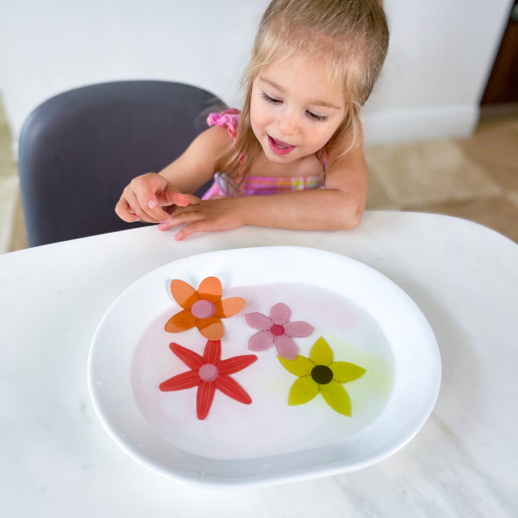 Flower Activity for Preschoolers with Free Printable! - 7 Days of Play