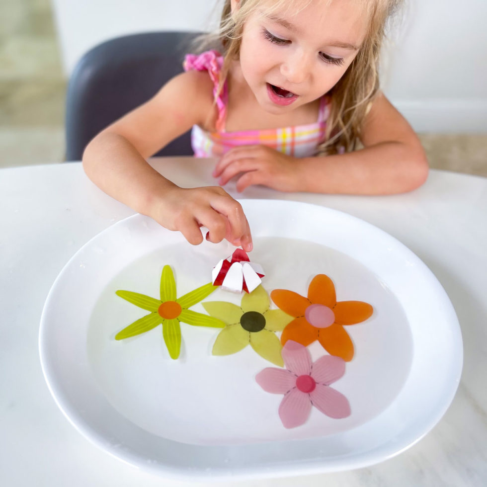 Flower Activity for Preschoolers with Free Printable! - 7 Days of Play