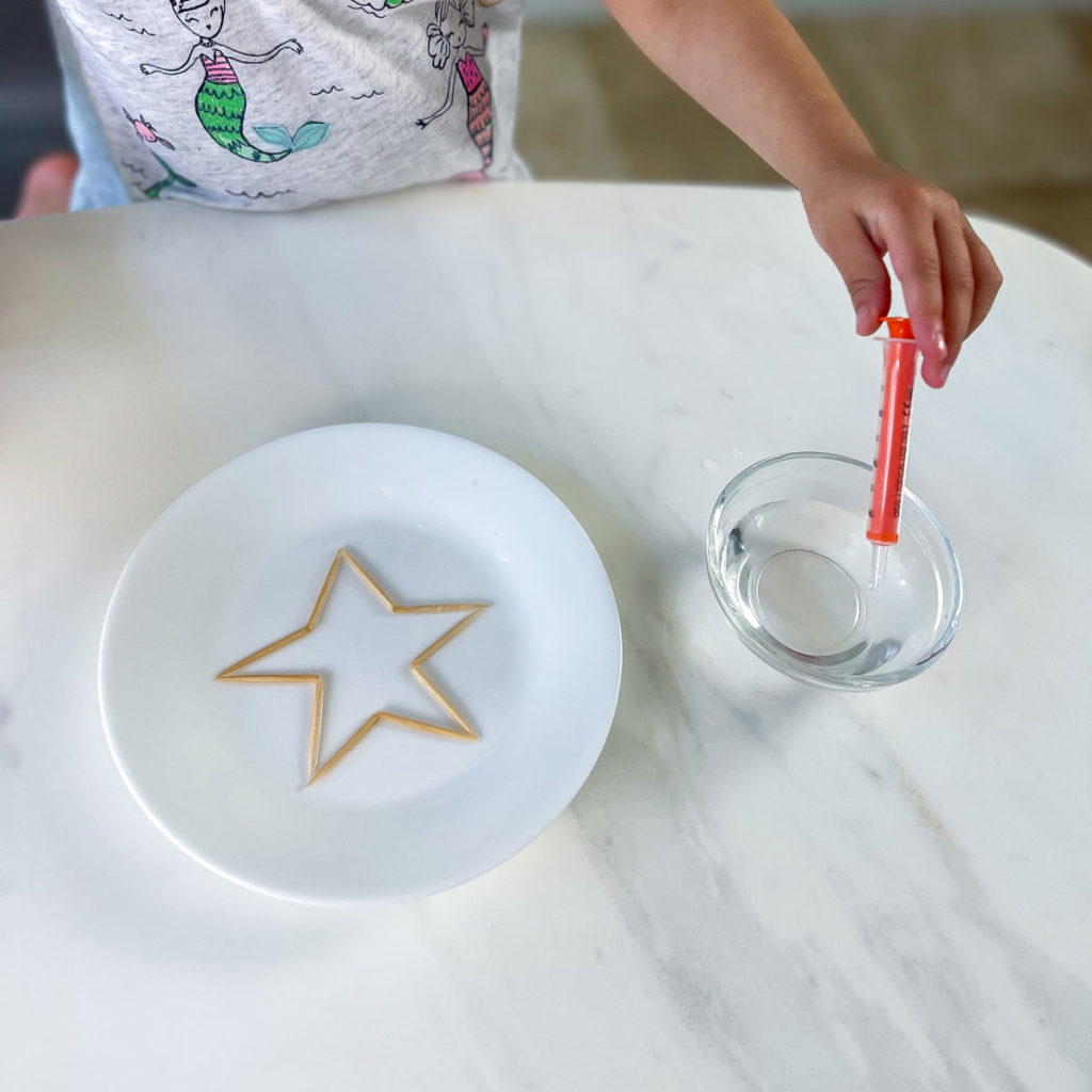 Toothpick Star Experiment - Magic with Water! - 7 Days of Play