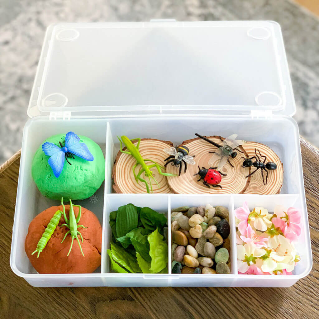 Preschool Insect Activity - Fun Sensory Kit They'll Love - 7 Days of Play