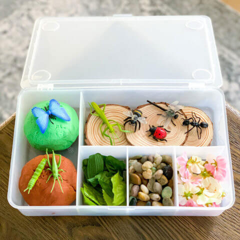 Preschool Insect Activity - Fun Sensory Kit They'll Love - 7 Days of Play