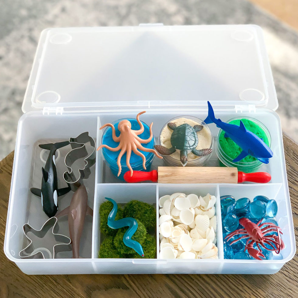 Ocean Activity in a Fun-Filled Play Dough Kit - 7 Days of Play