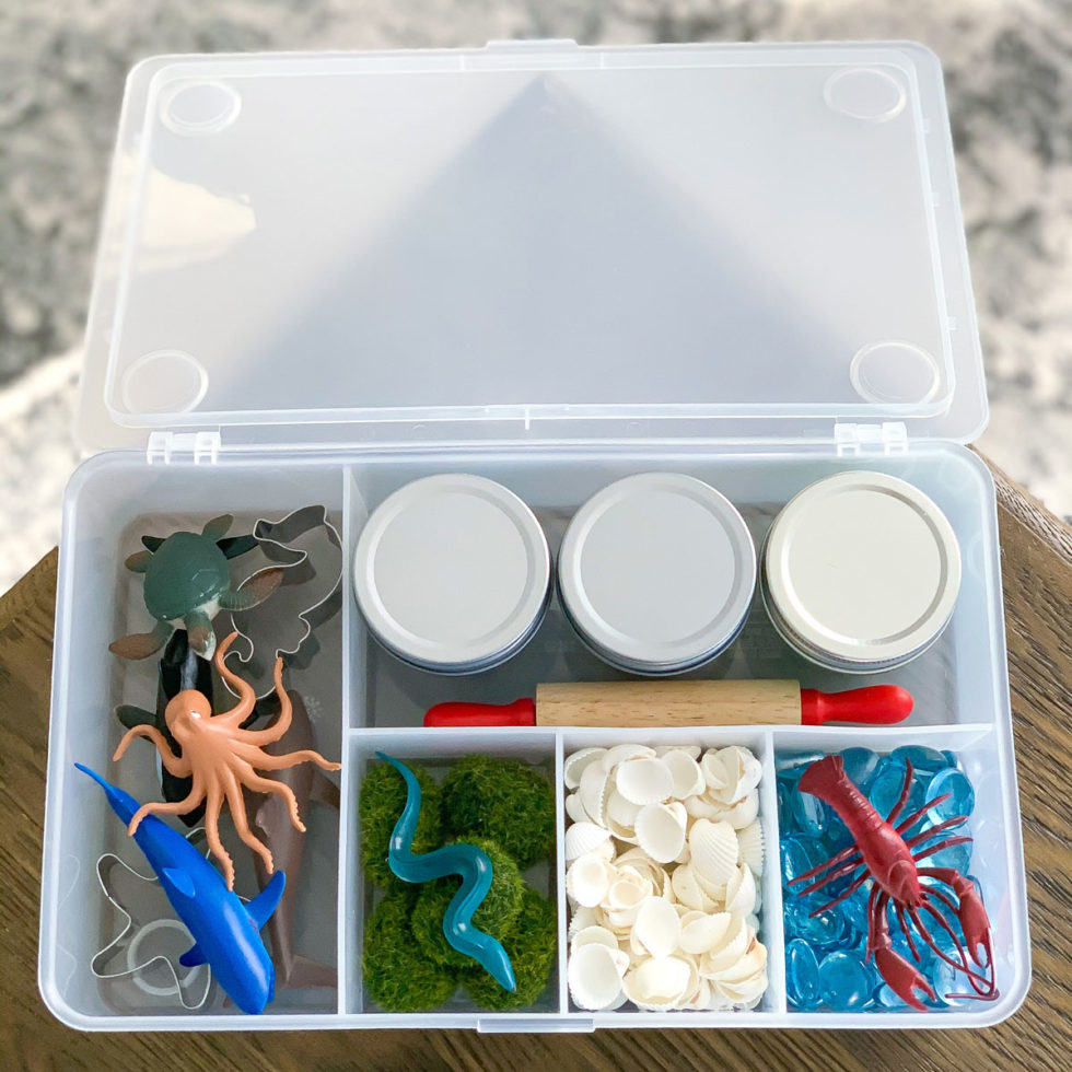 Ocean Activity in a Fun-Filled Play Dough Kit - 7 Days of Play
