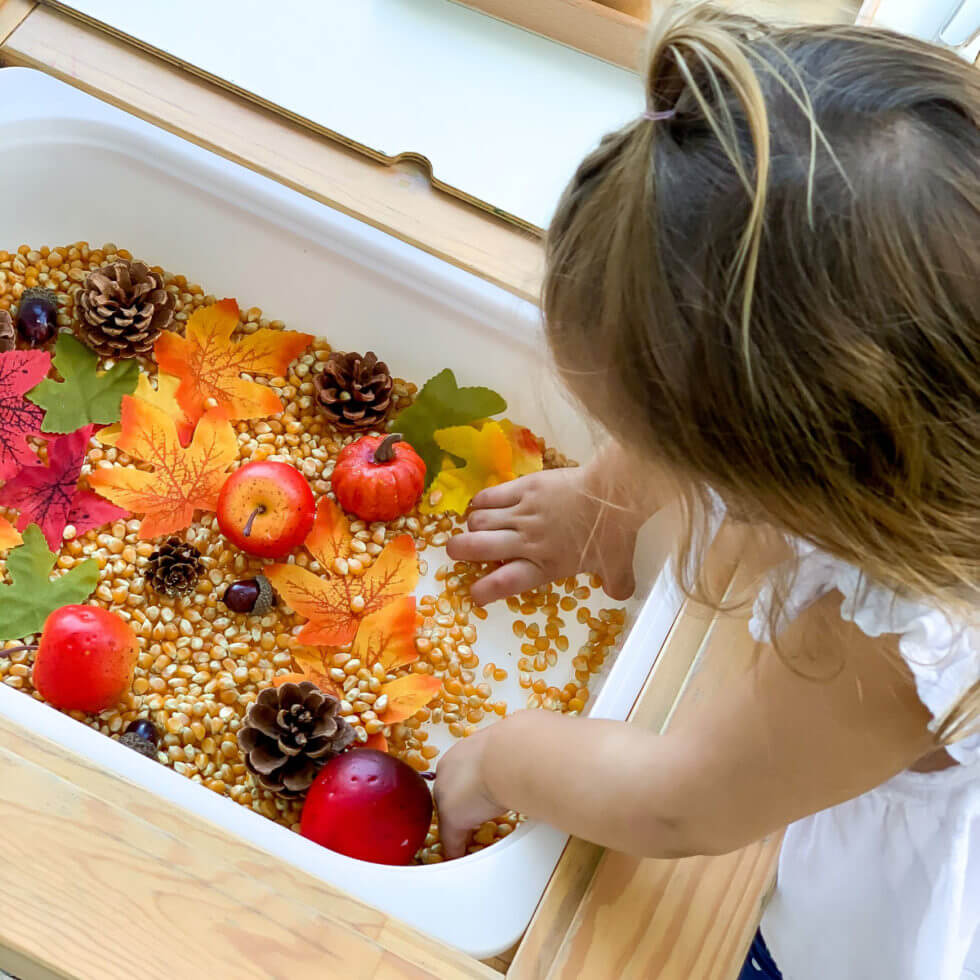 Fall Activity for Toddlers - Easy Autumn Sensory Bin for 3 Year Olds