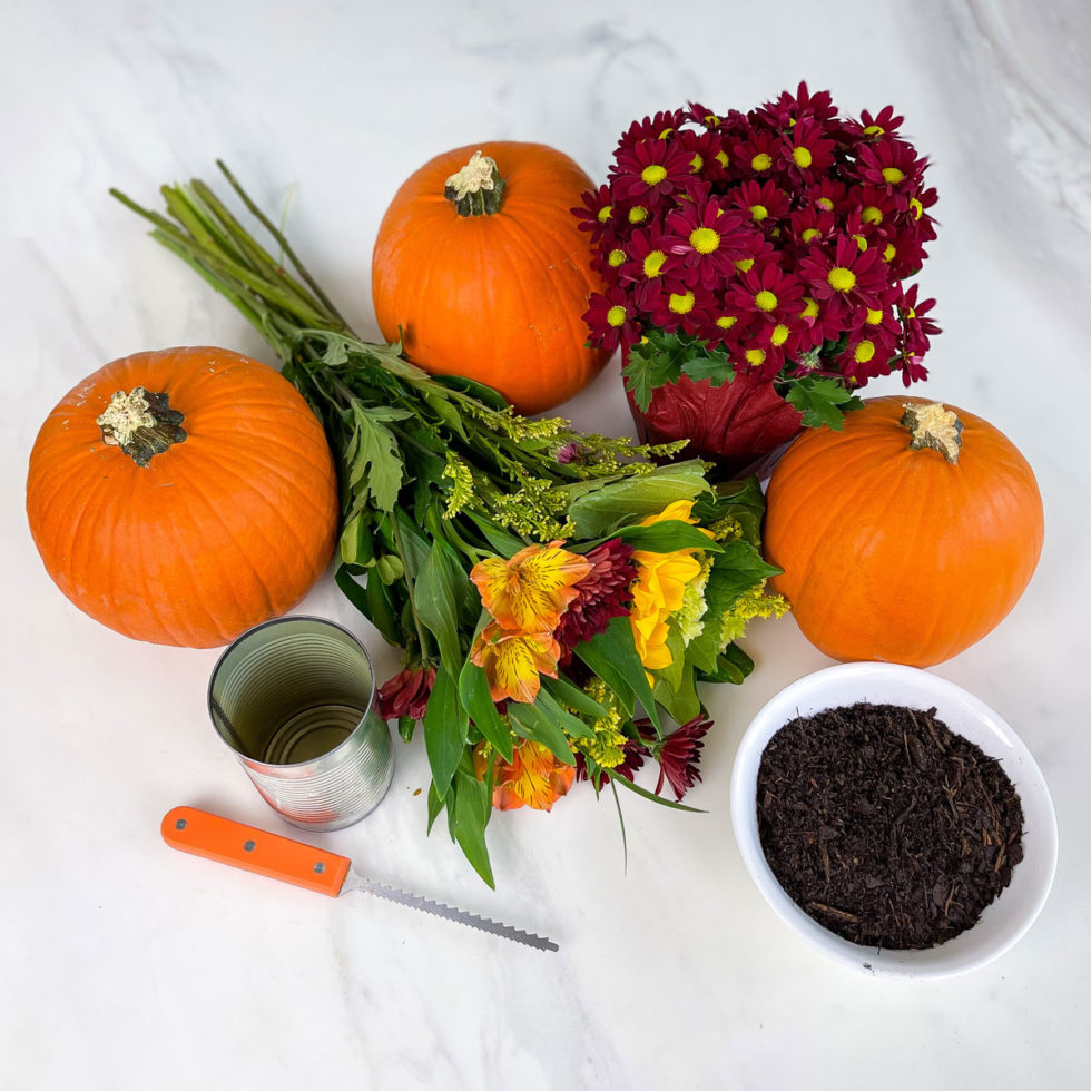 Pumpkin Activities - Being Creative with a Real Pumpkin - 7 Days of Play