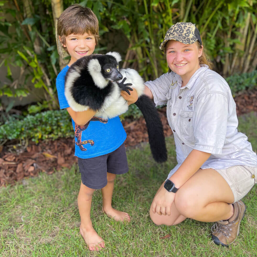 Animal Themed Party, Everything You Need to Know - 7 Days of Play