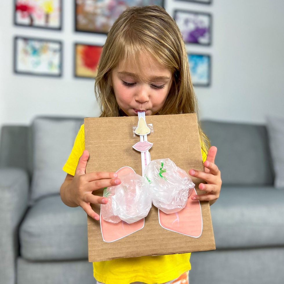 Activity for Respiratory System: Free Printable Lung Lesson - 7 Days of ...