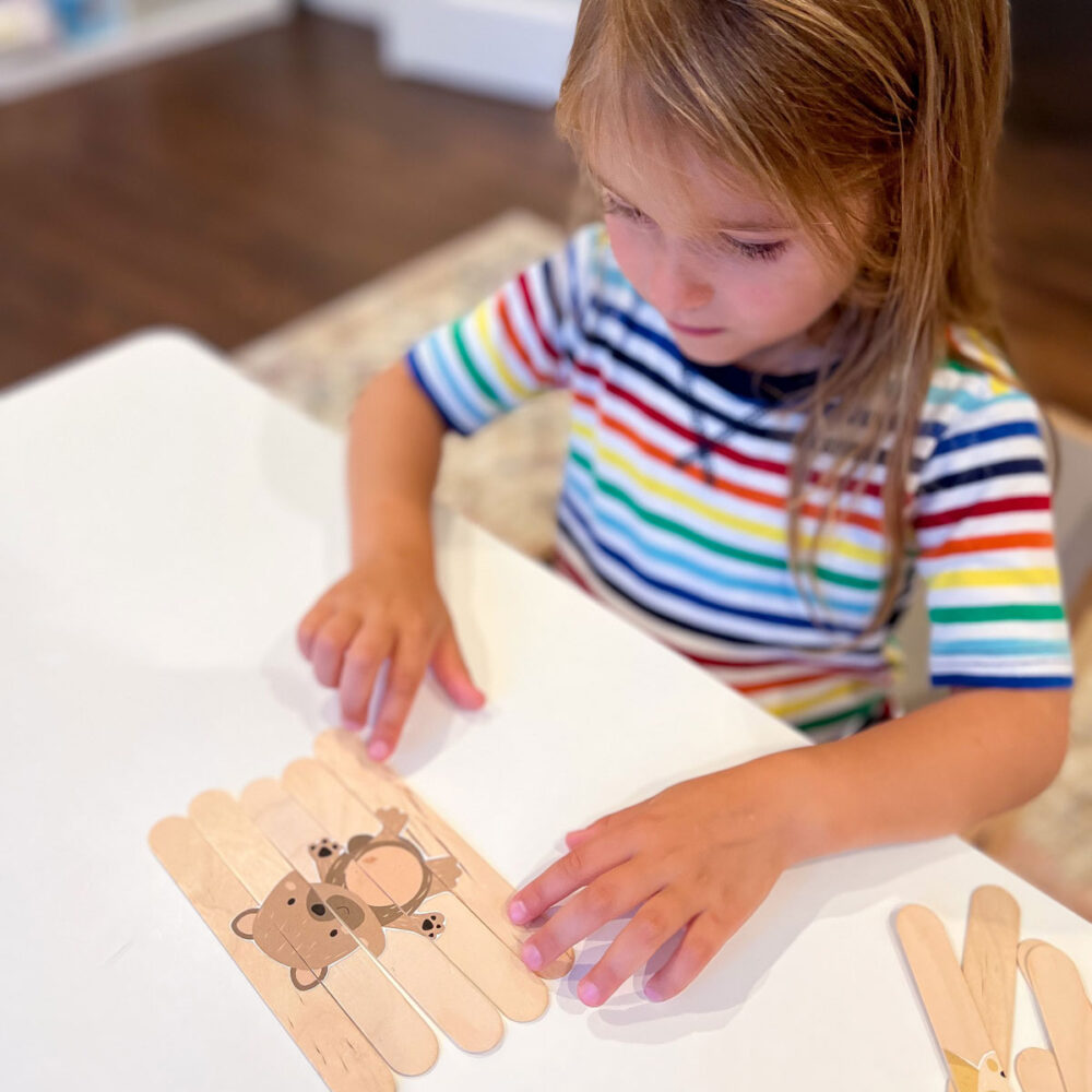 Craft Stick Puzzles 7 Days Of Play