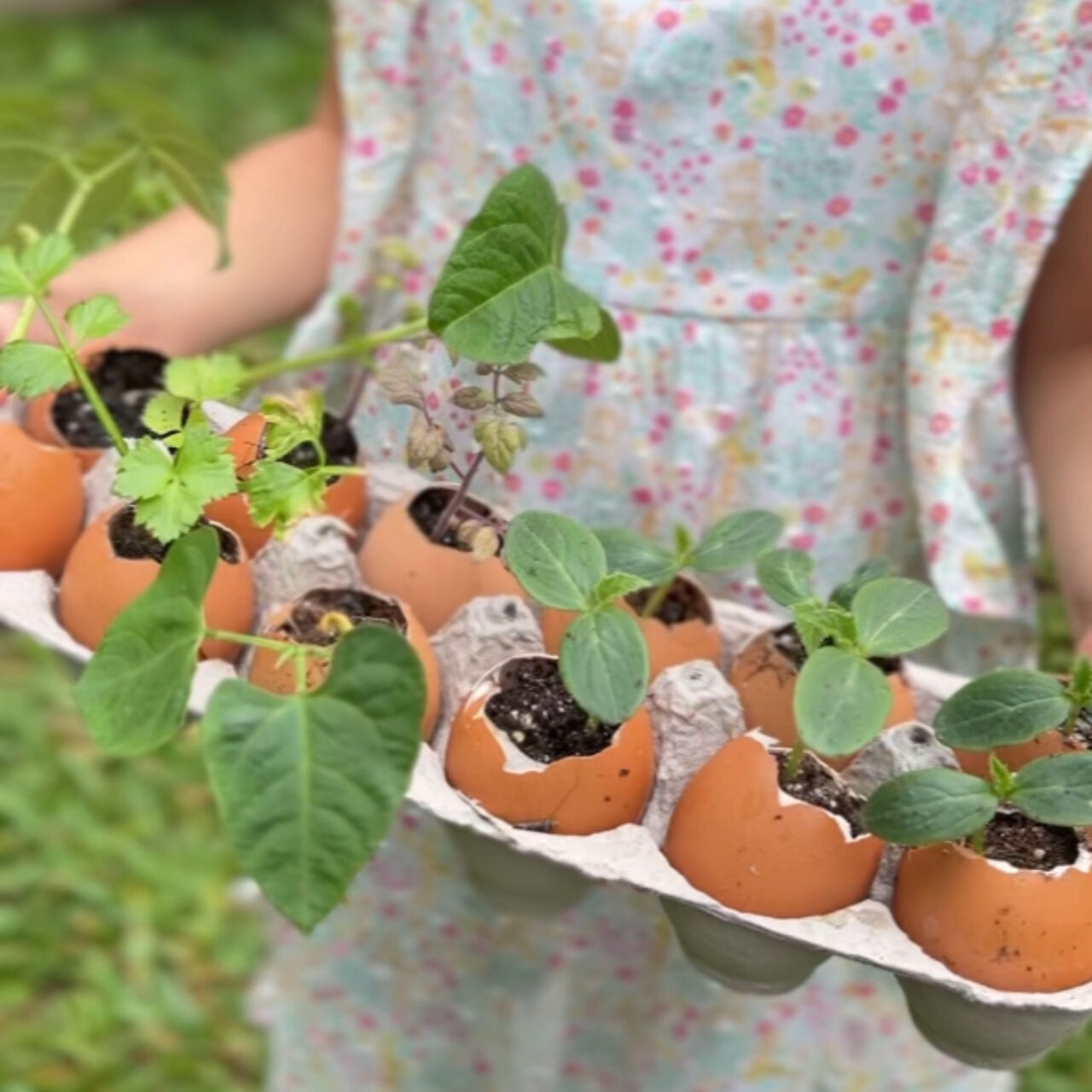 Earth Activities - How to Celebrate Earth Day and Earth Month - 7 Days ...