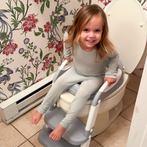 How to Potty Train and What You Need in 2025