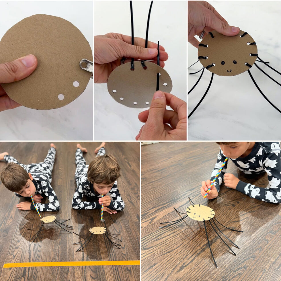 How to Make a Simple Spider Craft with Zip Ties and Cardboard