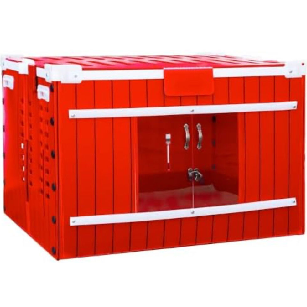 Hatching Eggs and Raising Chickens: A Family-Friendly Guide - 7 Days of ...